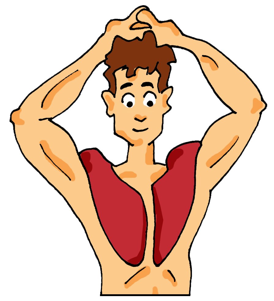 ESTIRAMIENTO DEL TÓRAX. - Fundación Aprende con REYHAN